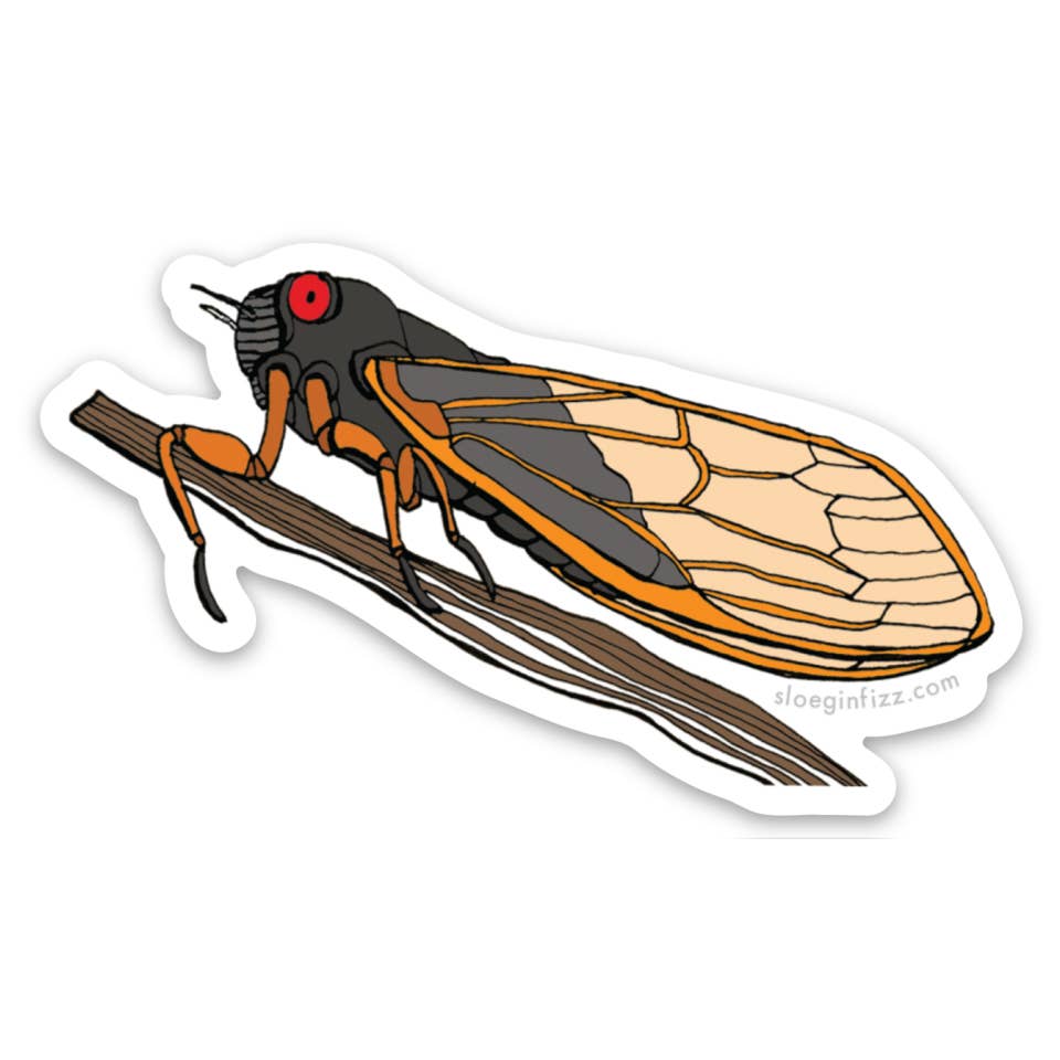 Cicada Sticker – Penny Post, Alexandria VA
