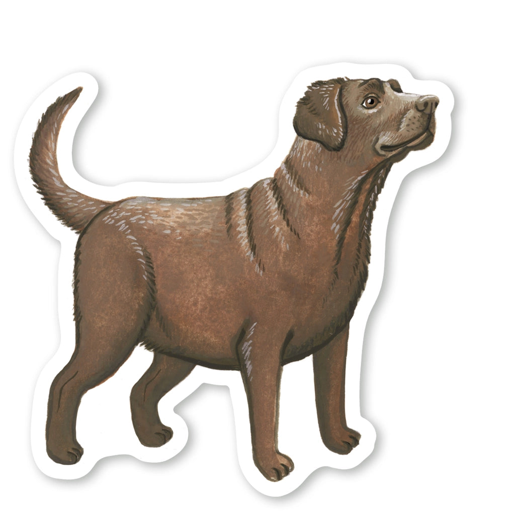 Chocolate Lab Sticker – Penny Post, Alexandria VA