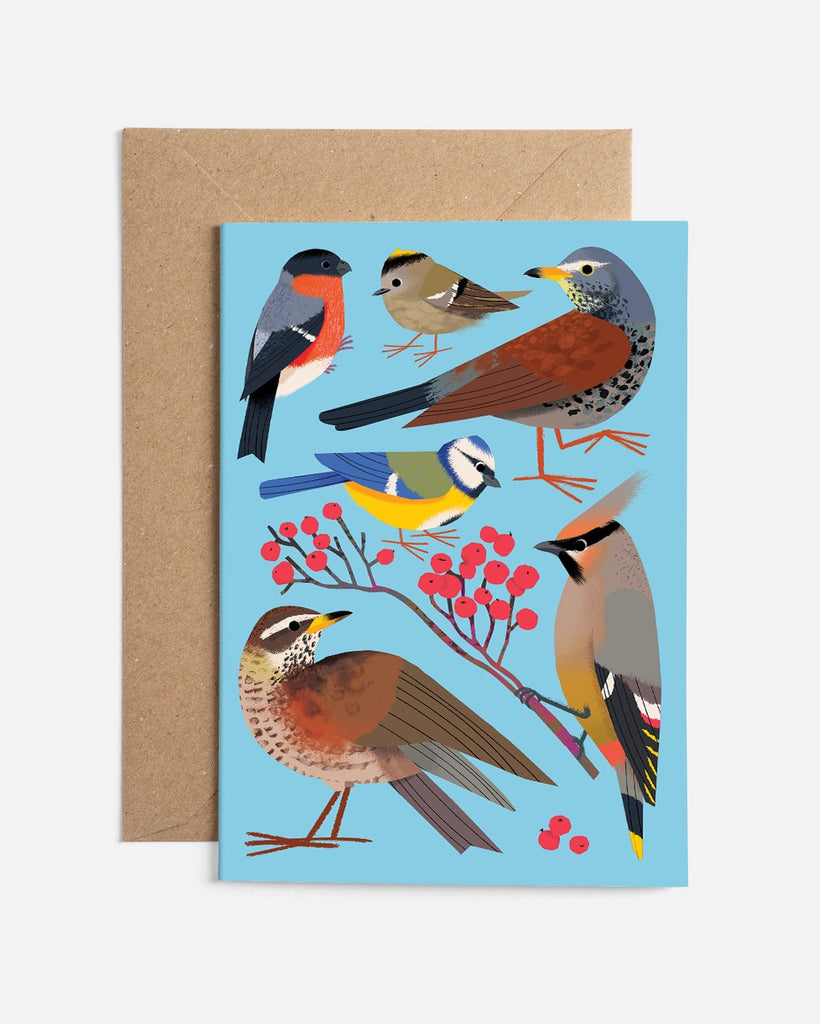 What to Look For Boxed Set, Sunny Beast – Penny Post, Alexandria VA