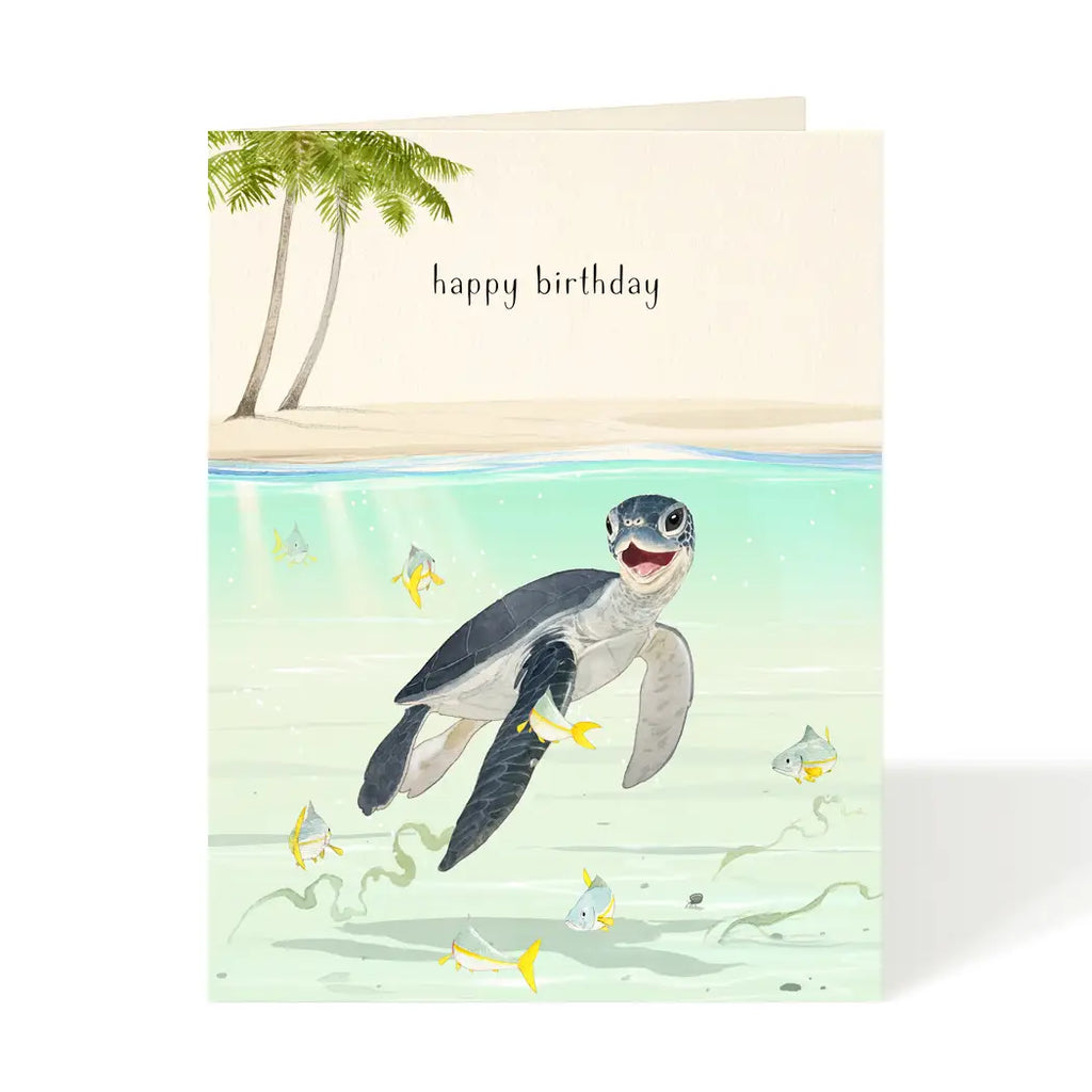 Baby Sea Turtle Birthday, Felix Doolittle – Penny Post, Alexandria VA